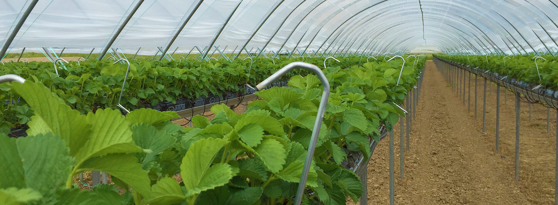 News Feed - Cocogreen