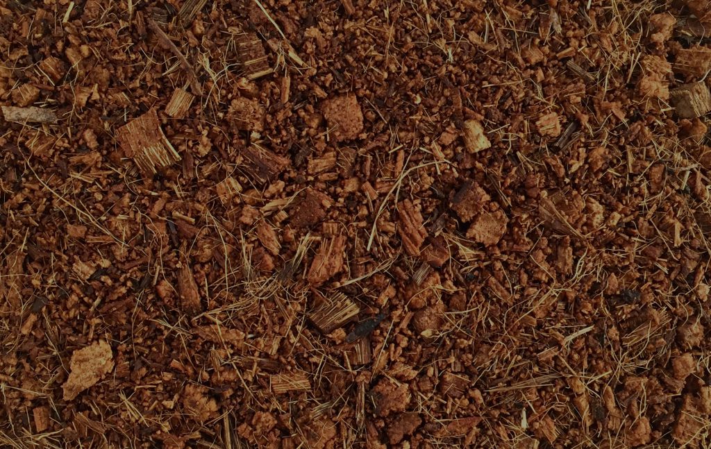 Privacy Policy - Cocogreen