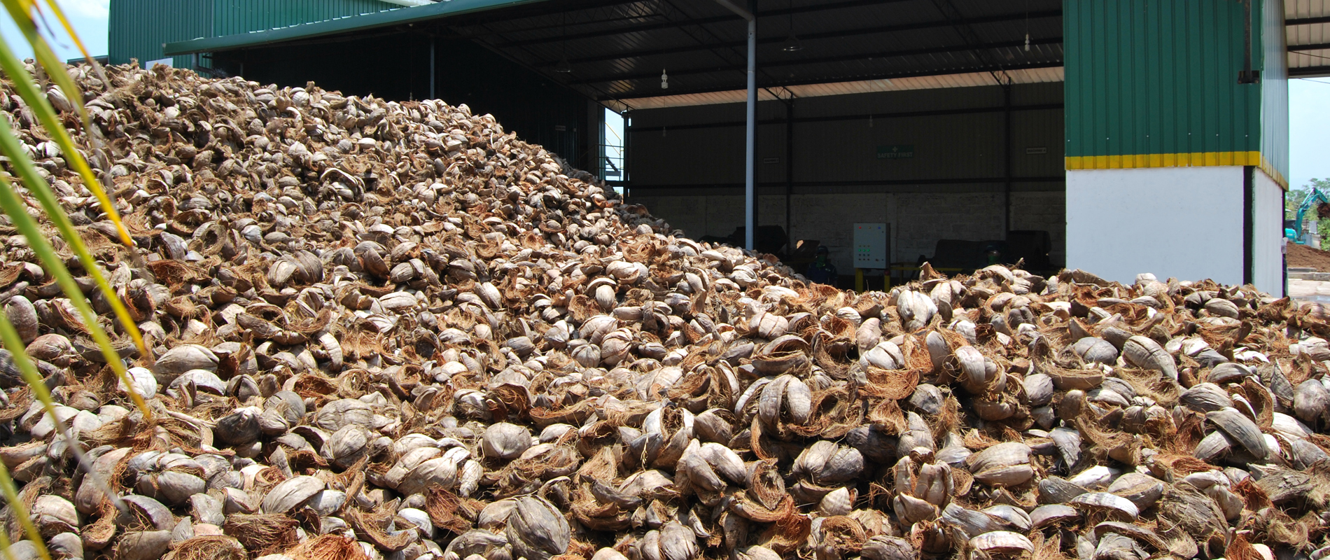 About Cocogreen® - Cocogreen