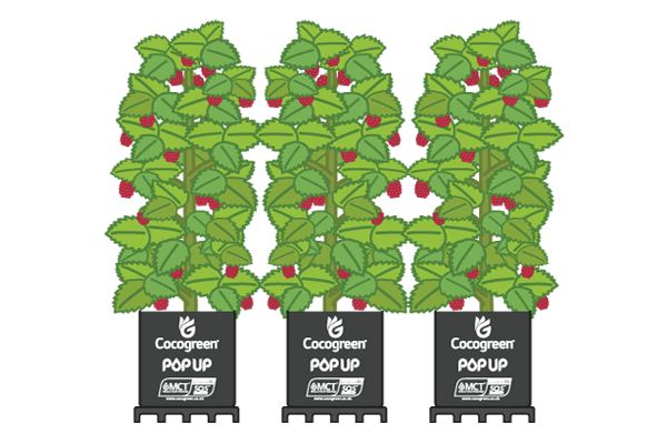 Our Solutions - Cocogreen